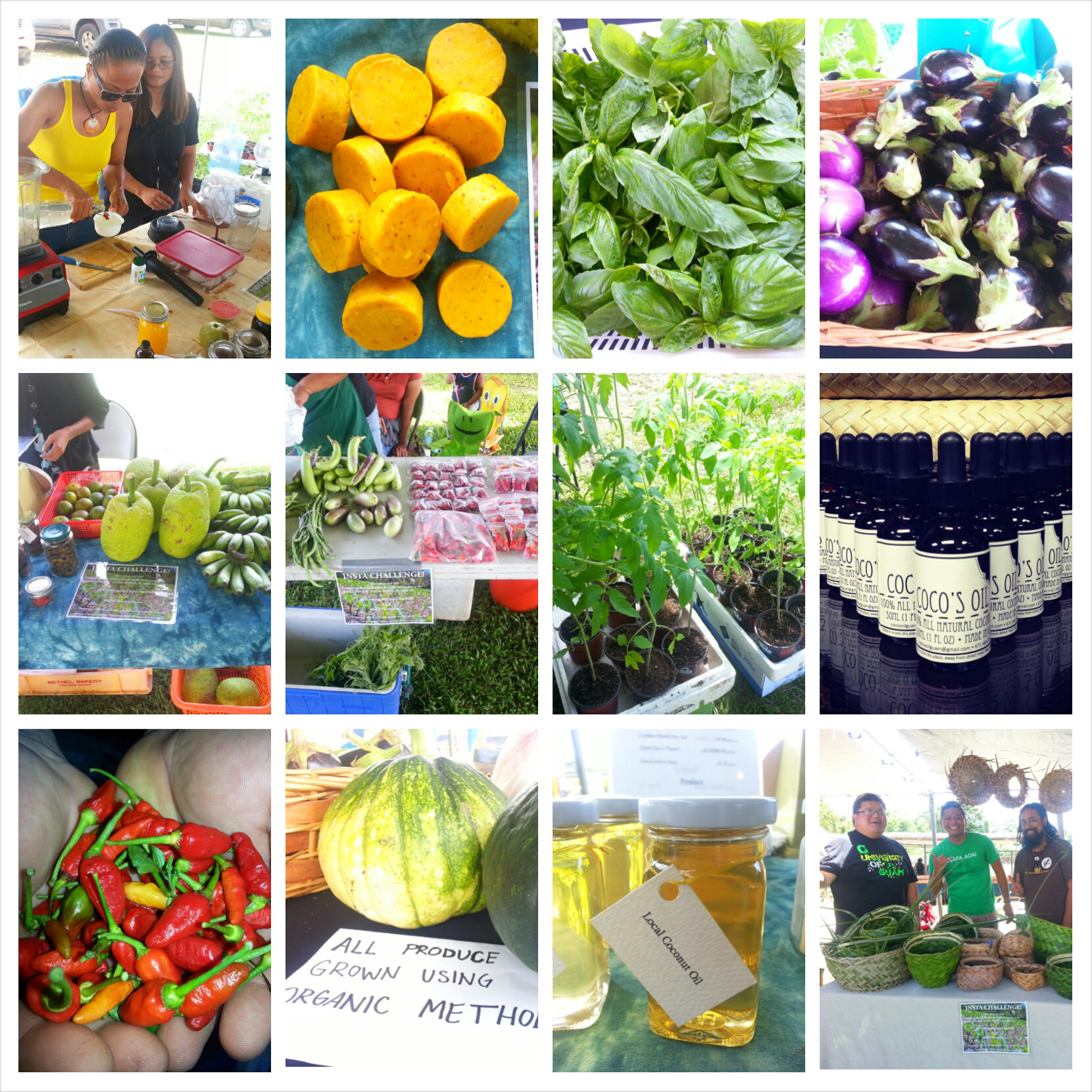 Farm to Table Guam Opens New Farmers Market - Farm to Table Guam Corp.