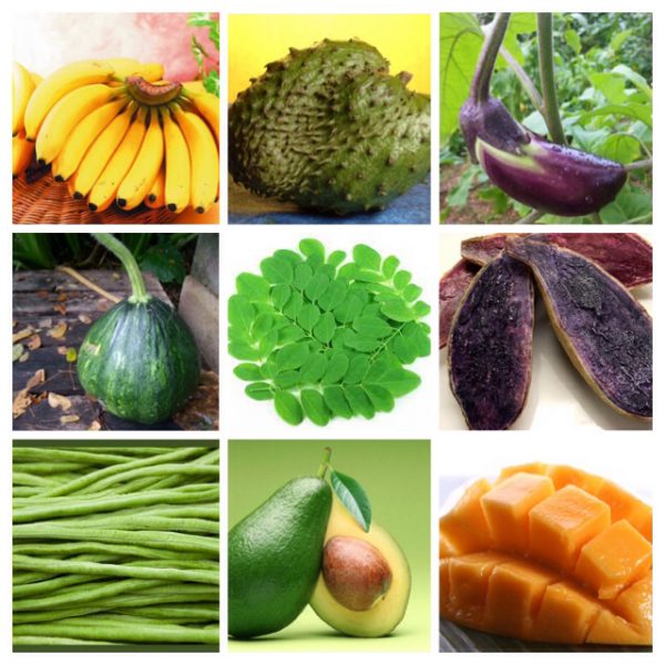 Why DIY? Guam Produce Makes Great Baby Food - Farm to Table Guam Corp.