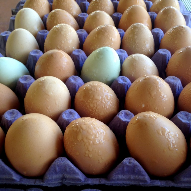 Farm to Table Guam helps farmer get $17,196 grant to expand operation ...