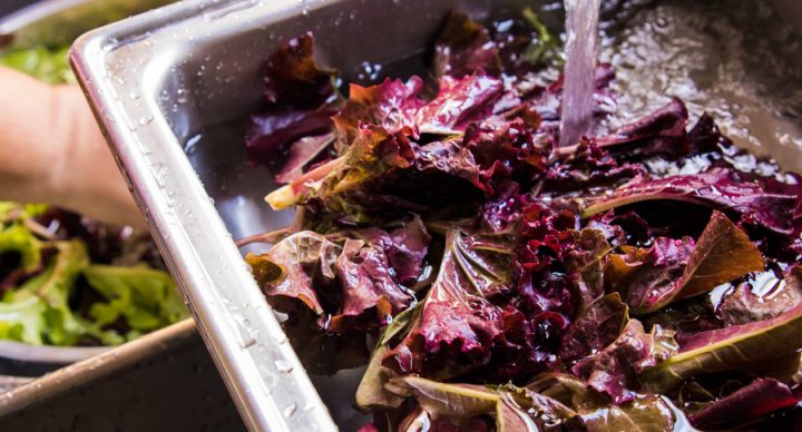 Farm to Table Guam Corp. – Value-Added Agriculture